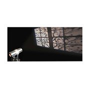 Reveal Shadow Projector | Adam Frank Shadow Projector, Windom, Trees ...