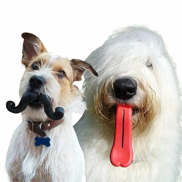 Silly Dog Toys: Mustache & Giant Tongue | Mustache Dog Toy, Tongue Dog ...