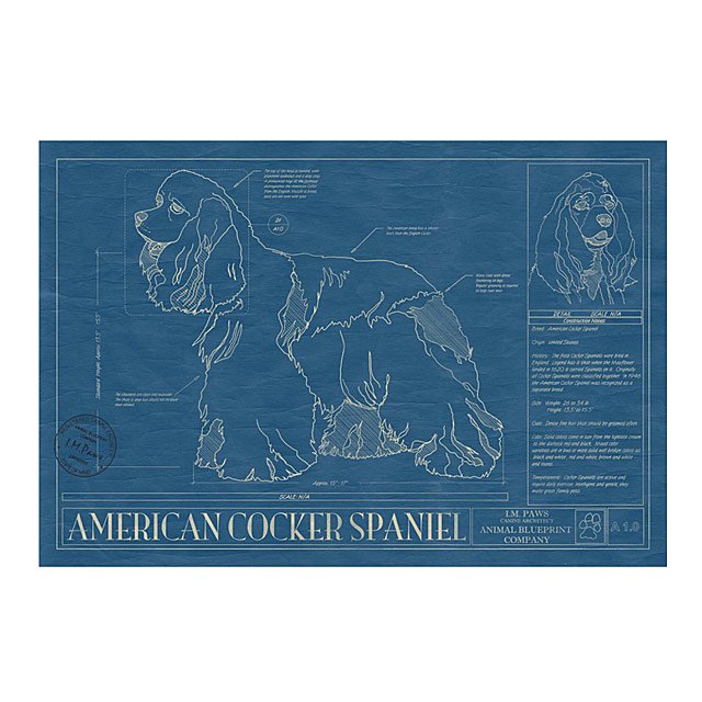 Dog Blueprints | Framed Wall Art, Dog Breeds | Uncommon Goods