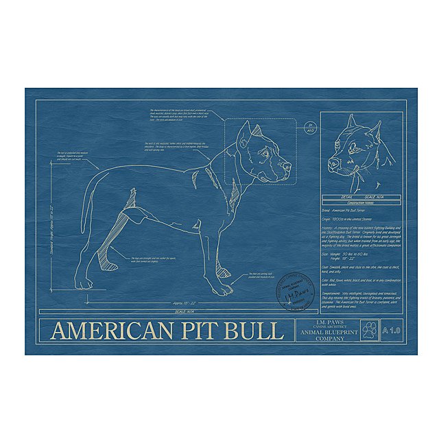 Dog Blueprints | Framed Wall Art, Dog Breeds | Uncommon Goods