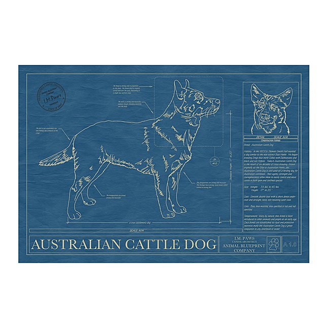 Dog Blueprints | Framed Wall Art, Dog Breeds | Uncommon Goods