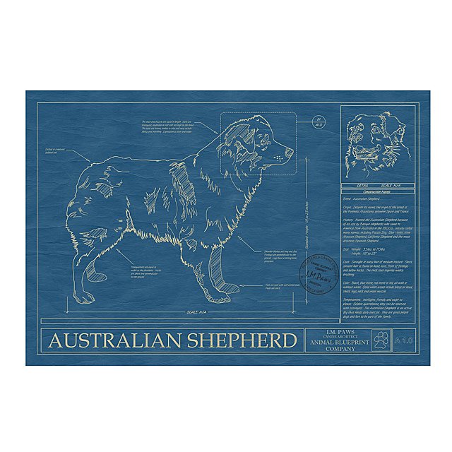 Dog Blueprints | Framed Wall Art, Dog Breeds | Uncommon Goods
