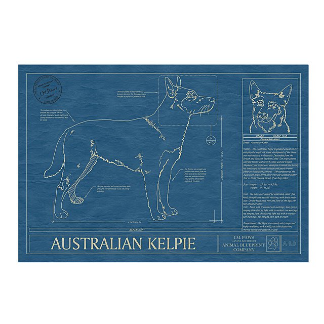 Dog Blueprints | Framed Wall Art, Dog Breeds | Uncommon Goods