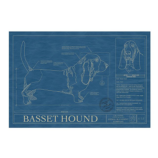 Dog Blueprints | Framed Wall Art, Dog Breeds | Uncommon Goods