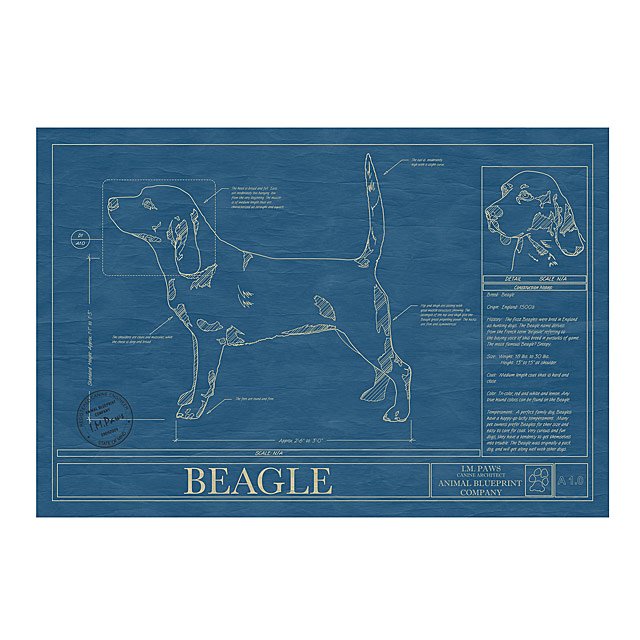 Dog Blueprints | Framed Wall Art, Dog Breeds | Uncommon Goods