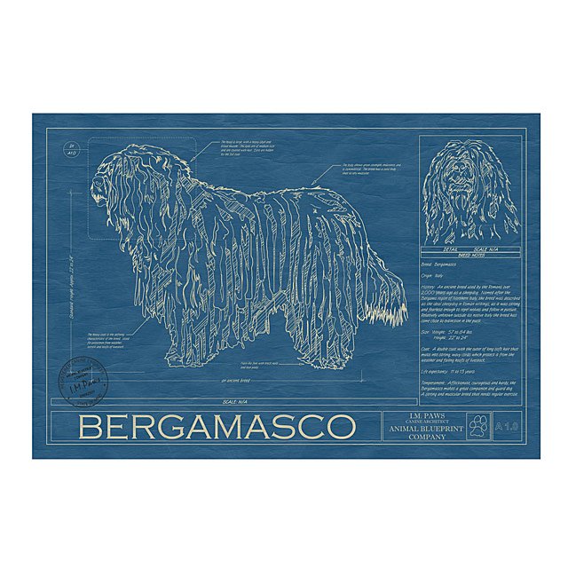 Dog Blueprints | Framed Wall Art, Dog Breeds | Uncommon Goods