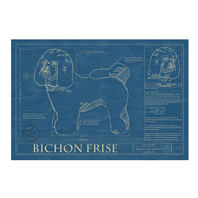 Dog Blueprints | Framed Wall Art, Dog Breeds | Uncommon Goods