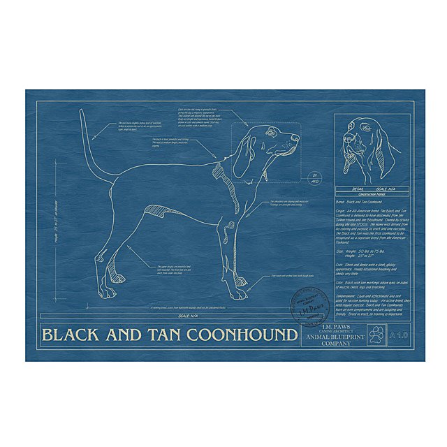 Dog Blueprints | Framed Wall Art, Dog Breeds | Uncommon Goods