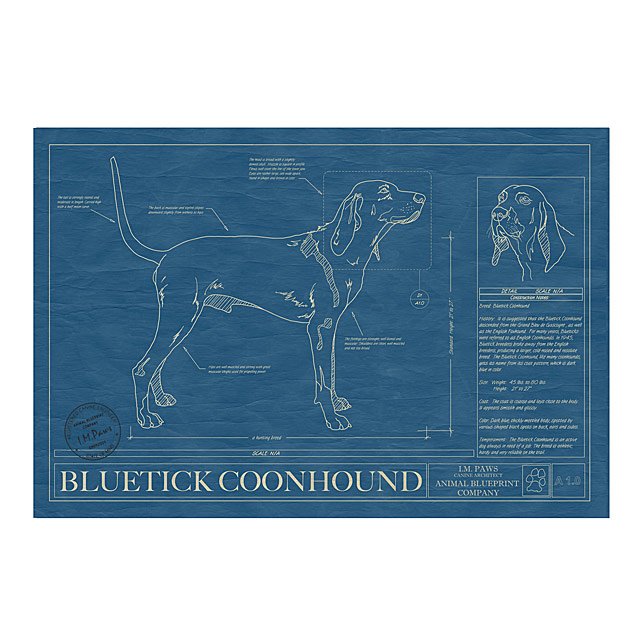 Dog Blueprints | Framed Wall Art, Dog Breeds | Uncommon Goods