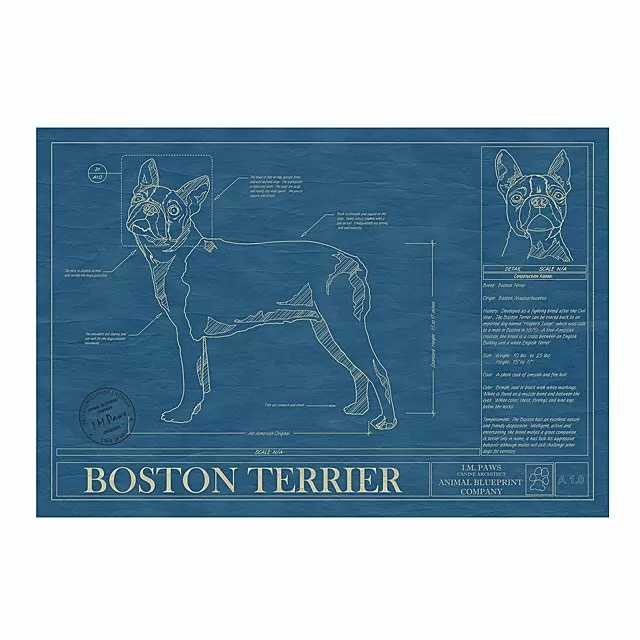 Dog Blueprints | Framed Wall Art, Dog Breeds | Uncommon Goods
