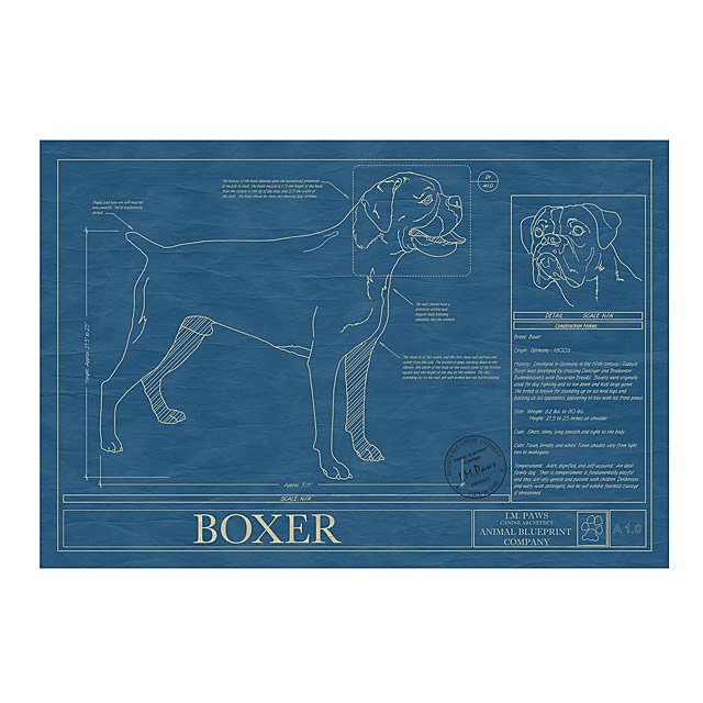 Dog Blueprints | Framed Wall Art, Dog Breeds | Uncommon Goods