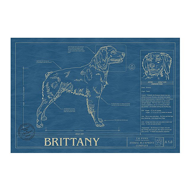 Dog Blueprints | Framed Wall Art, Dog Breeds | Uncommon Goods