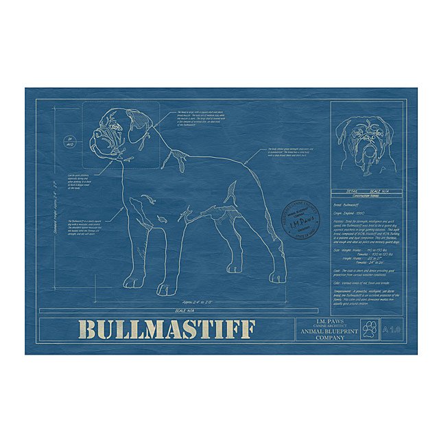 Dog Blueprints | Framed Wall Art, Dog Breeds | Uncommon Goods