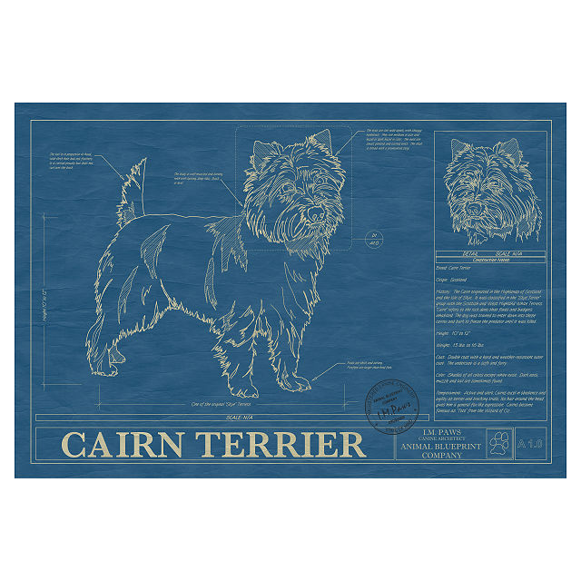 Dog Blueprints | Framed Wall Art, Dog Breeds | Uncommon Goods