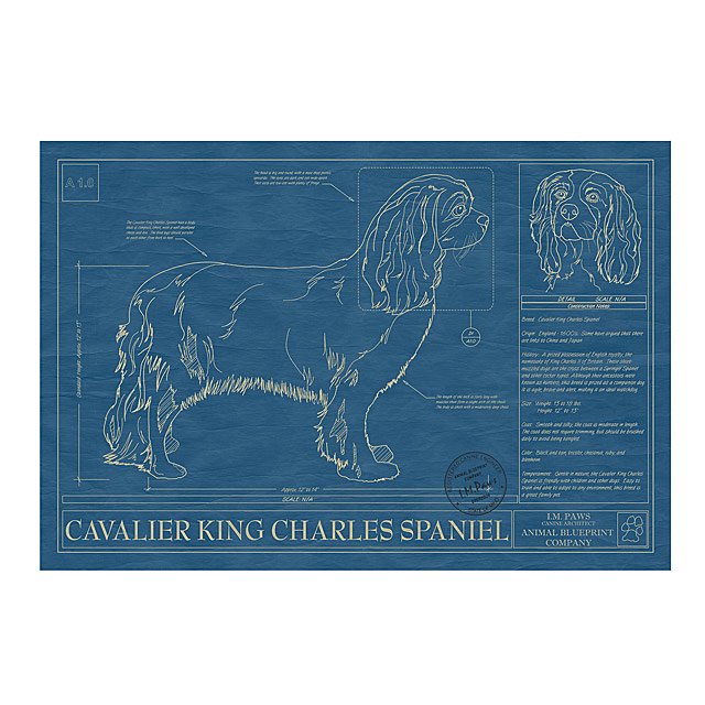 Dog Blueprints | Framed Wall Art, Dog Breeds | Uncommon Goods