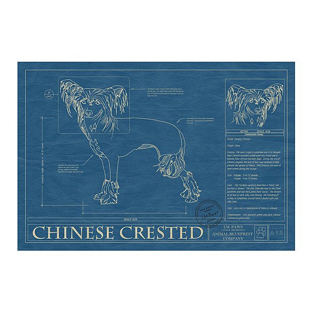 Dog Blueprints | Framed Wall Art, Dog Breeds | Uncommon Goods
