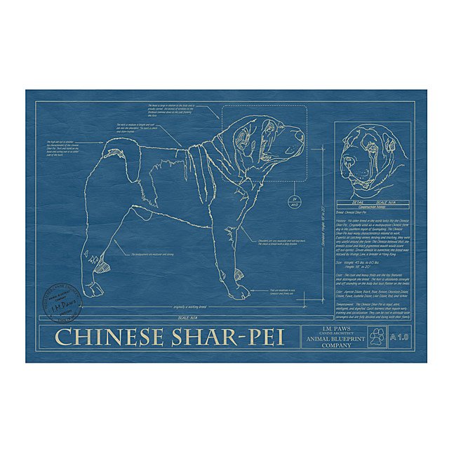 Dog Blueprints | Framed Wall Art, Dog Breeds | Uncommon Goods