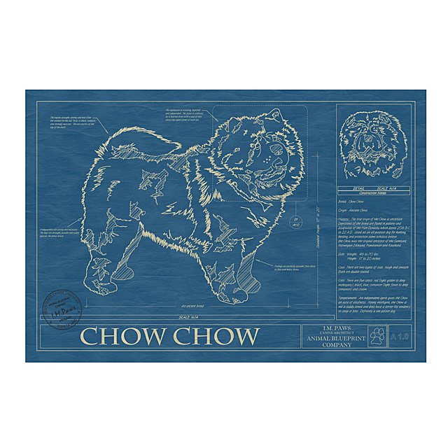 Dog Blueprints | Framed Wall Art, Dog Breeds | Uncommon Goods