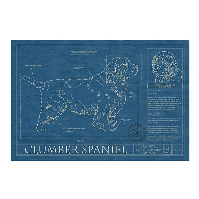 Dog Blueprints | Framed Wall Art, Dog Breeds | Uncommon Goods