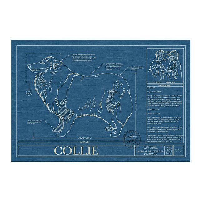 Dog Blueprints | Framed Wall Art, Dog Breeds | Uncommon Goods