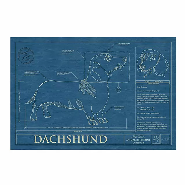 Dog Blueprints | Framed Wall Art, Dog Breeds | Uncommon Goods