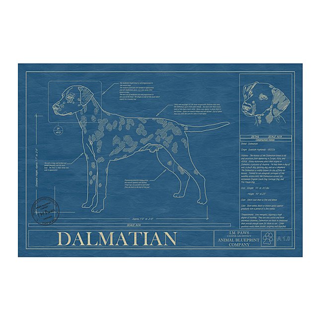Dog Blueprints | Framed Wall Art, Dog Breeds | Uncommon Goods