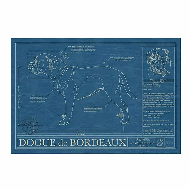 Dog Blueprints | Framed Wall Art, Dog Breeds | Uncommon Goods