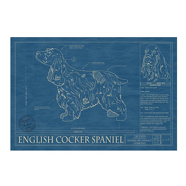 Dog Blueprints | Framed Wall Art, Dog Breeds | Uncommon Goods