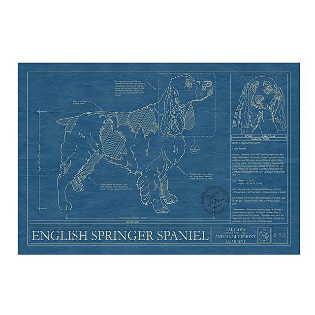 Dog Blueprints | Framed Wall Art, Dog Breeds | Uncommon Goods