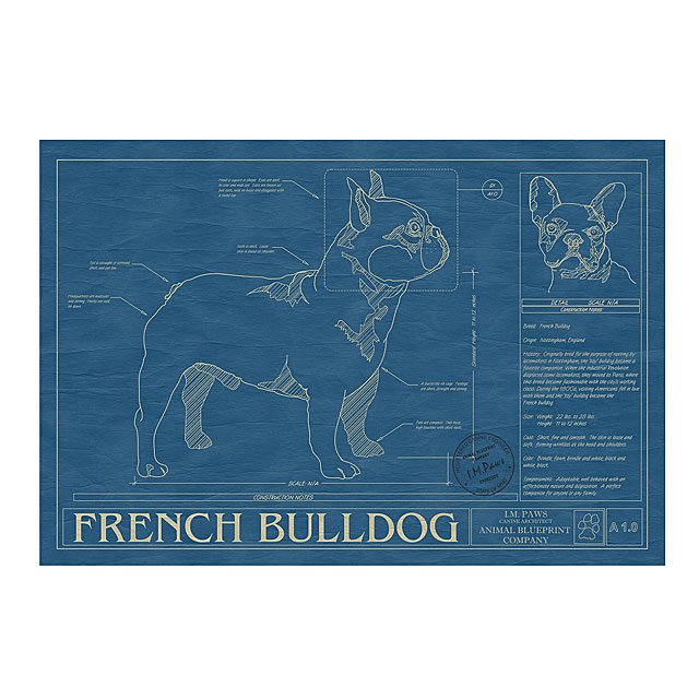 Uncommon Goods | French Bulldog - Dog Blueprints | Framed Wall Art, Dog ...