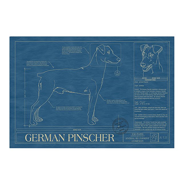 Dog Blueprints | Framed Wall Art, Dog Breeds | Uncommon Goods