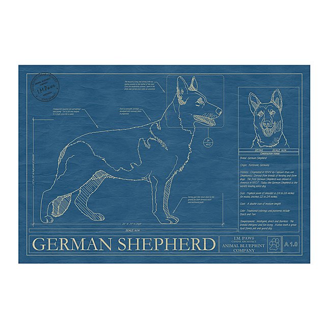 Dog Blueprints | Framed Wall Art, Dog Breeds | Uncommon Goods