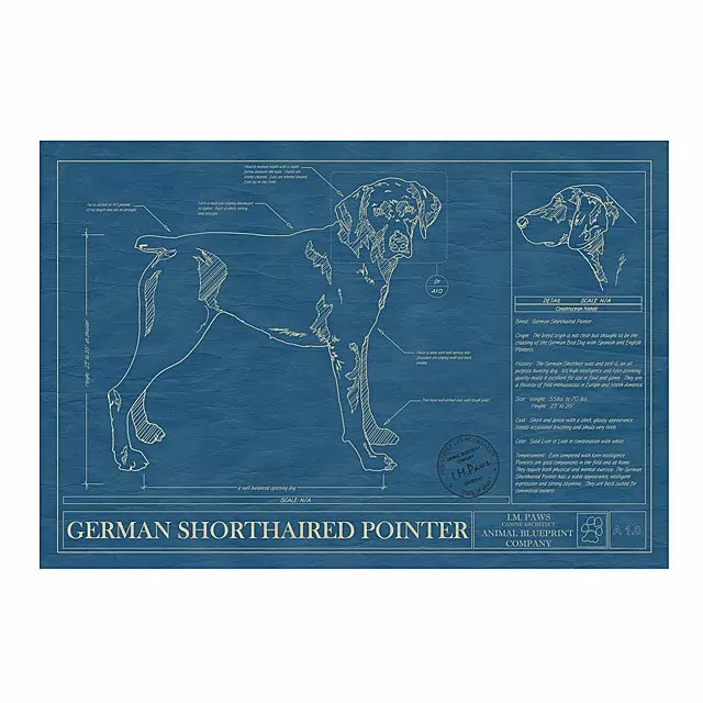 Dog Blueprints | Framed Wall Art, Dog Breeds | Uncommon Goods
