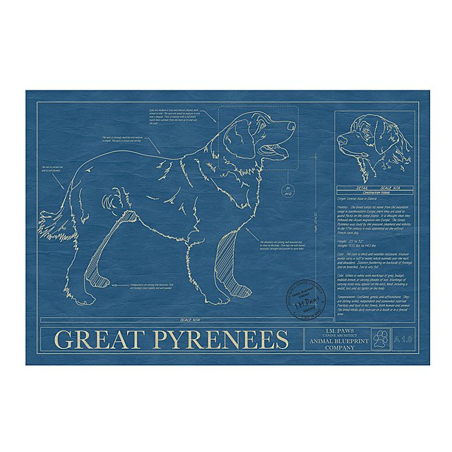 Dog Blueprints | Framed Wall Art, Dog Breeds | Uncommon Goods