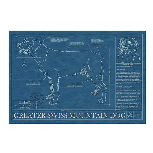 Dog Blueprints | Framed Wall Art, Dog Breeds | Uncommon Goods