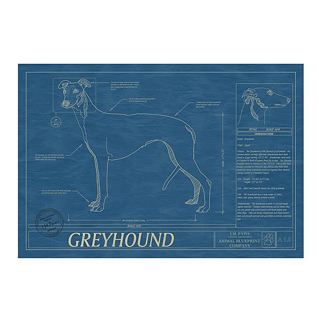 Dog Blueprints | Framed Wall Art, Dog Breeds | Uncommon Goods