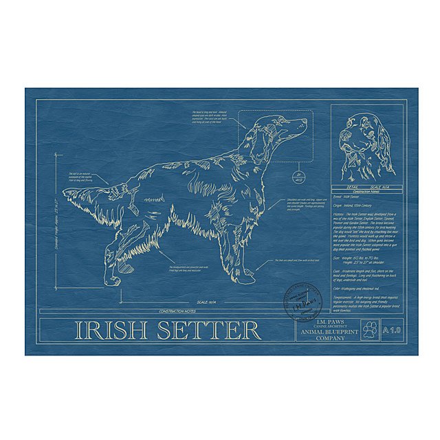 Dog Blueprints | Framed Wall Art, Dog Breeds | Uncommon Goods