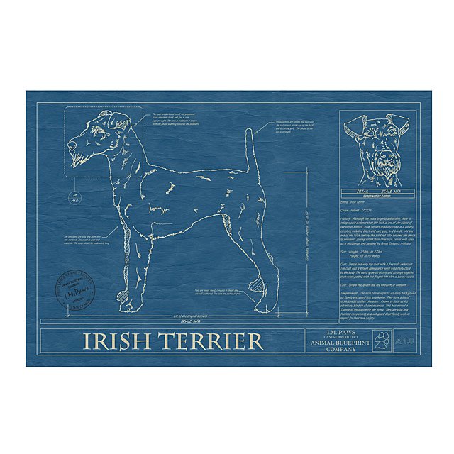 Dog Blueprints | Framed Wall Art, Dog Breeds | Uncommon Goods