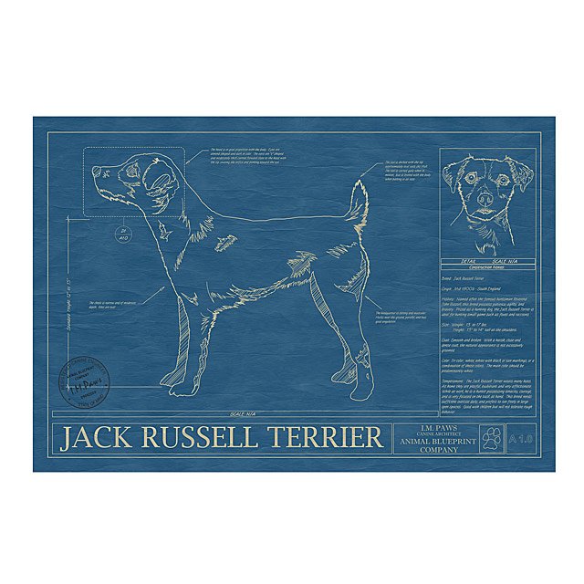 Dog Blueprints | Framed Wall Art, Dog Breeds | Uncommon Goods