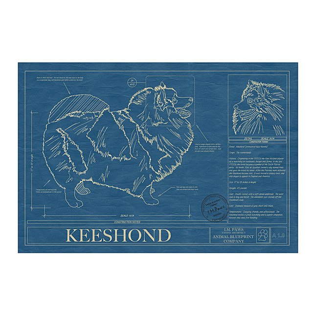 Dog Blueprints | Framed Wall Art, Dog Breeds | Uncommon Goods