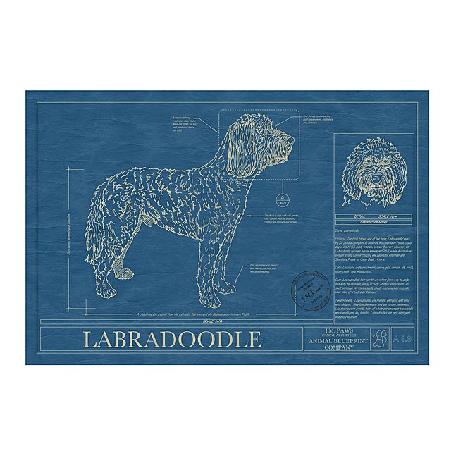 Dog Blueprints | Framed Wall Art, Dog Breeds | Uncommon Goods