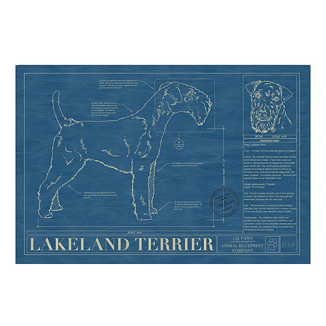 Dog Blueprints | Framed Wall Art, Dog Breeds | Uncommon Goods