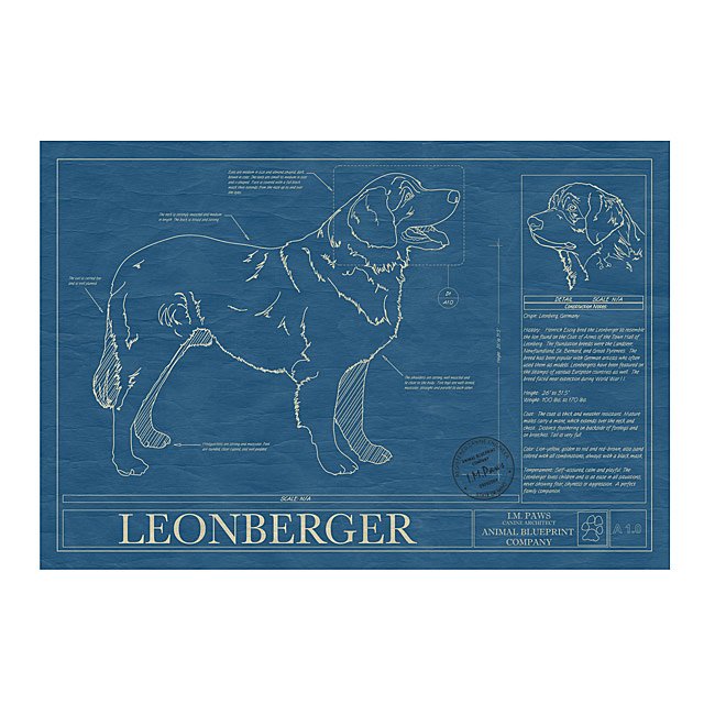 Dog Blueprints | Framed Wall Art, Dog Breeds | Uncommon Goods