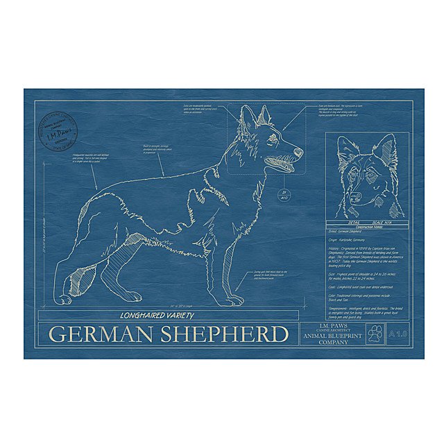 Dog Blueprints | Framed Wall Art, Dog Breeds | Uncommon Goods
