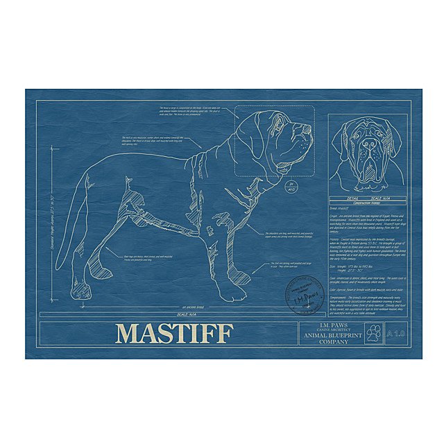 Dog Blueprints | Framed Wall Art, Dog Breeds | Uncommon Goods