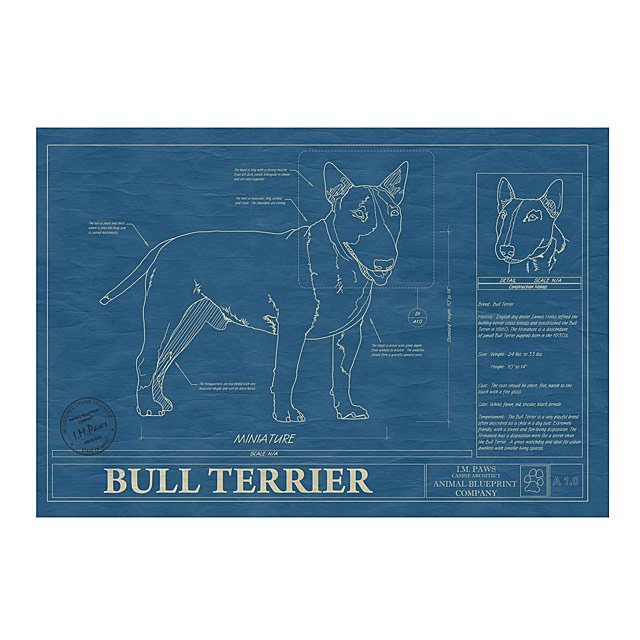 Dog Blueprints | Framed Wall Art, Dog Breeds | Uncommon Goods