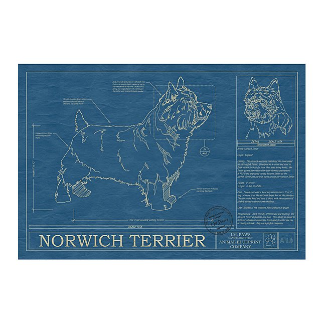 Dog Blueprints | Framed Wall Art, Dog Breeds | Uncommon Goods