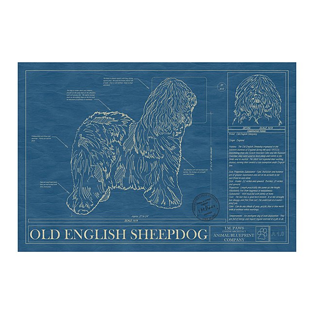 Dog Blueprints | Framed Wall Art, Dog Breeds | Uncommon Goods