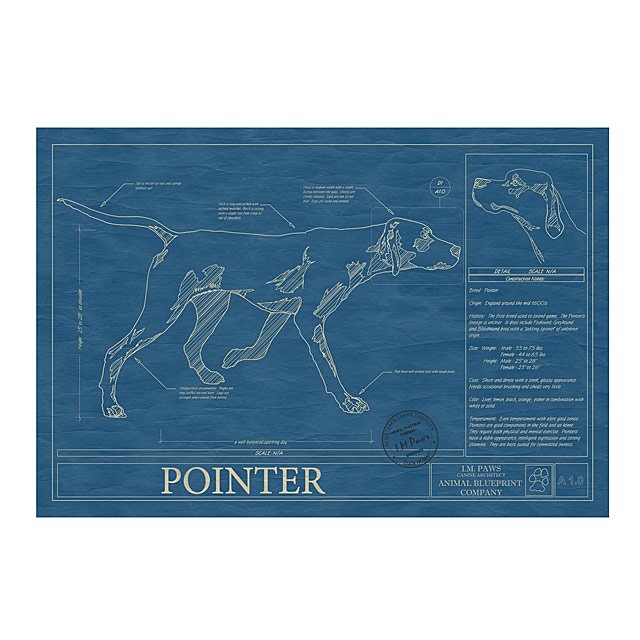 Dog Blueprints | Framed Wall Art, Dog Breeds | Uncommon Goods