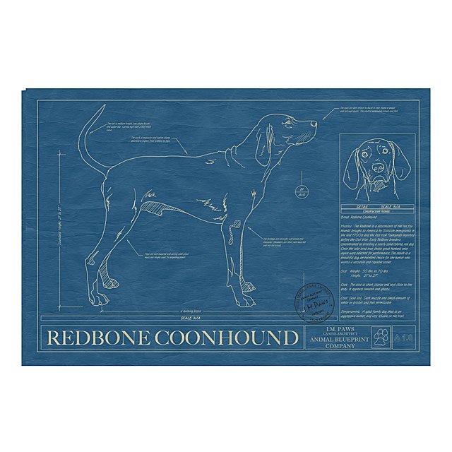 Dog Blueprints | Framed Wall Art, Dog Breeds | Uncommon Goods